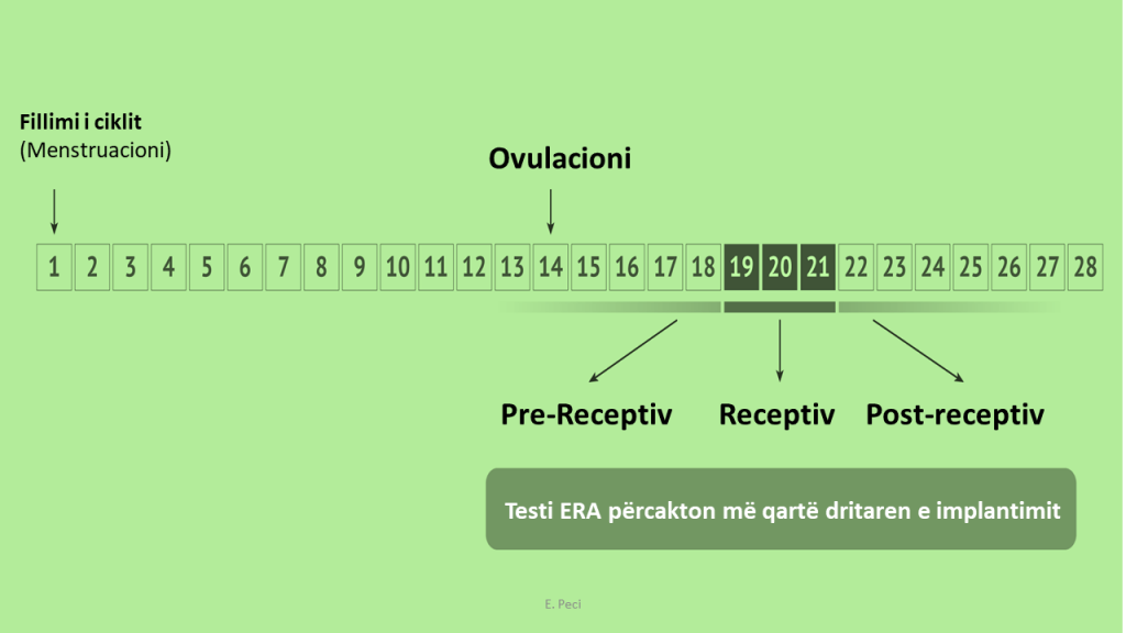 ERA Test | Dr.Elton Peci