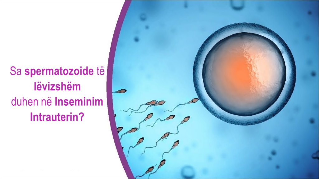 Dr.Elton Peci | Gjithcka për fertilitetin, shtatzaninë & shëndetin e femrës